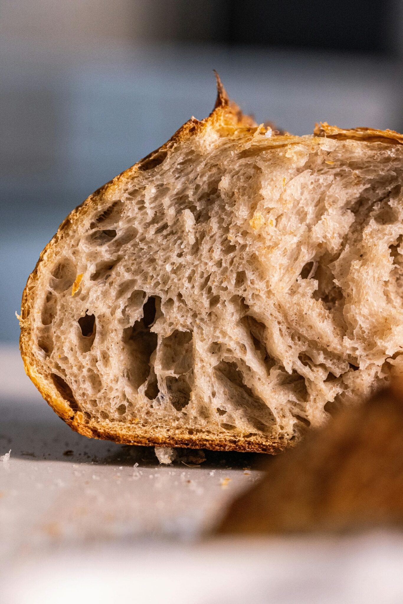 Where Does Baking Yeast Come From? Origins & Uses Explained